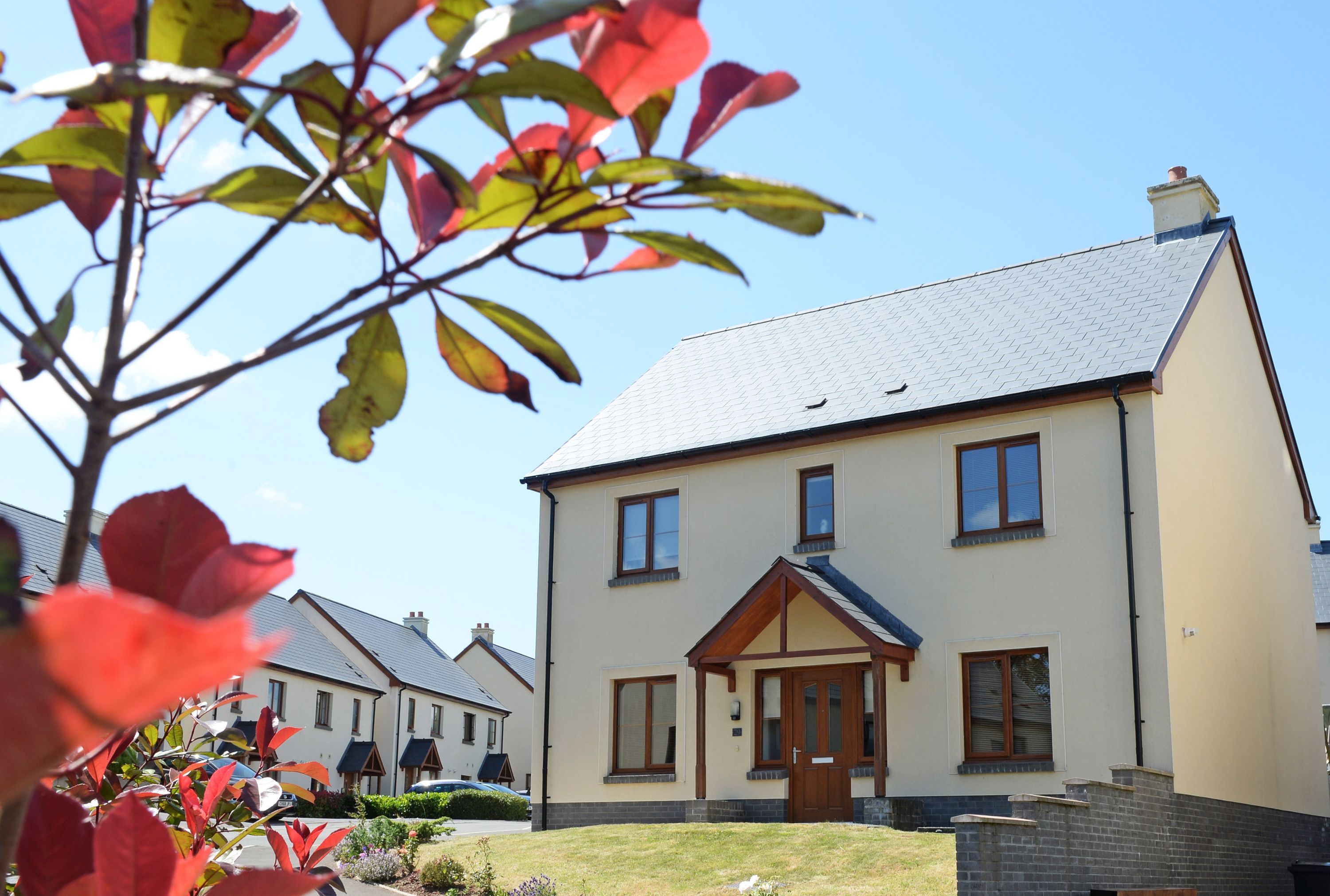 Coppins Park - Dog Friendly, Peaceful Location - Saundersfoot