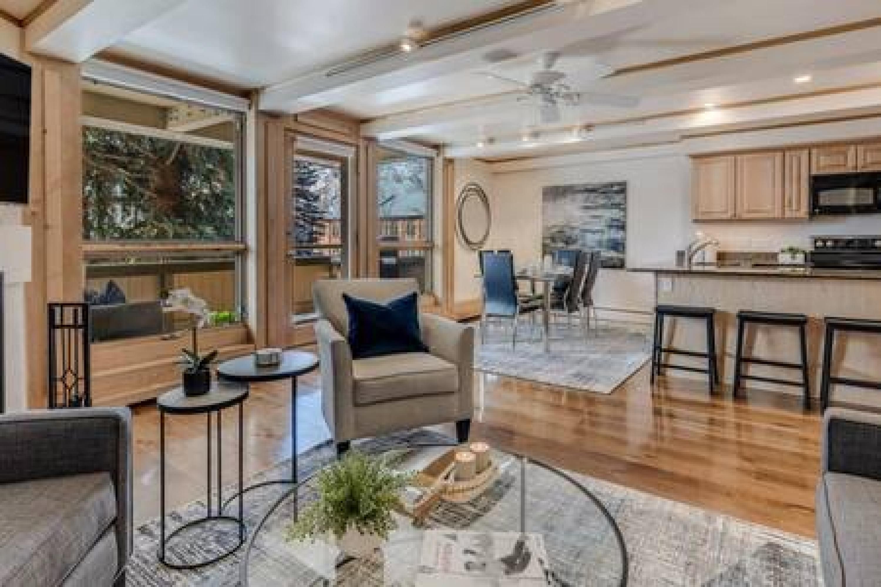 New Listing 2br 2ba Condo - Mountain Views - Aspen, CO